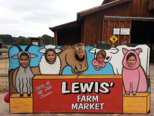Lewis Adventure Farm & Zoo - Chamber Alliance of Mason County