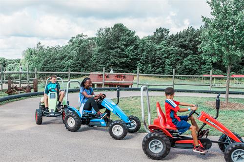 Lewis Adventure Farm & Zoo - Chamber Alliance of Mason County